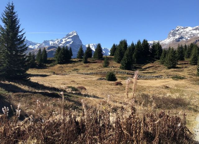 Alp Flix – annelies-on-hike